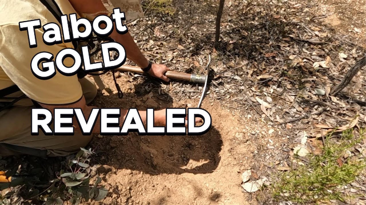 Gold Prospecting Talbot's Victorian bush with the Minelab GPZ 7000 and ...