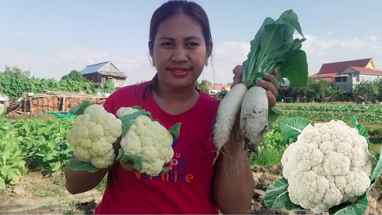 Very Simple and Beautiful of farmer, Cook fresh vegetables with chicken ...