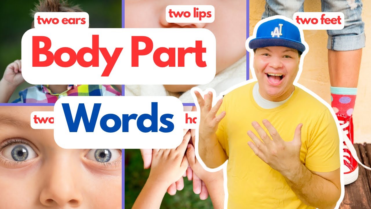 Body Part Words | Learning English | ShanesMTH - YouTube