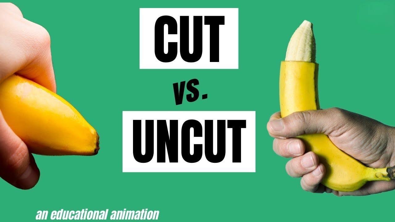 Circumcised vs. Uncircumcised: Explained with Animation! - YouTube