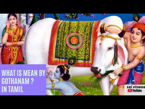 Gomatha Puja and Powerful Benefits of Gomatha Pooja/கோமாதா வழிபாடு ...