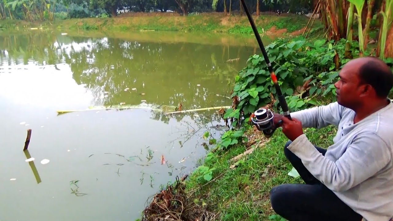 Quick Fish Catching By Fishing Rod On Village Pond - YouTube