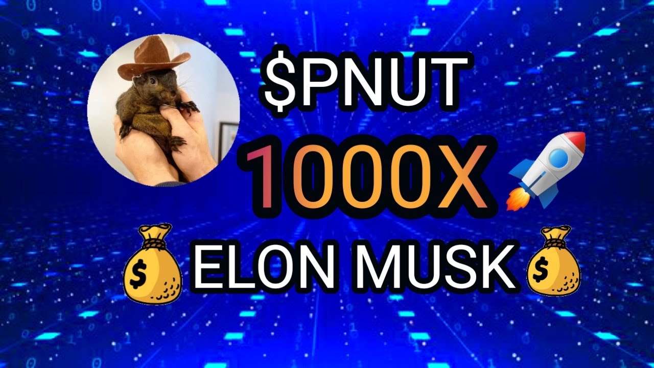 💥BIG BANG💥 $PNUT COIN PRICE PREDICTION 2025 || ELON MUSK || 1000X SOON ...