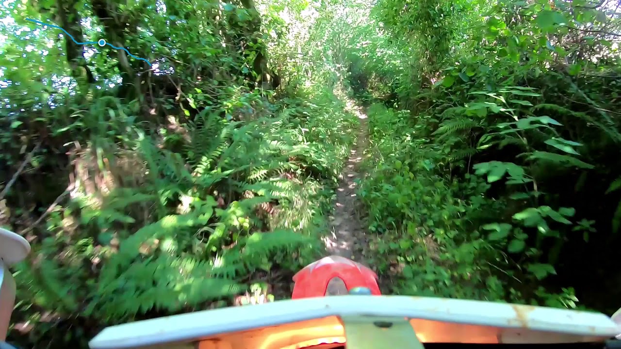 Lye Lane - YouTube