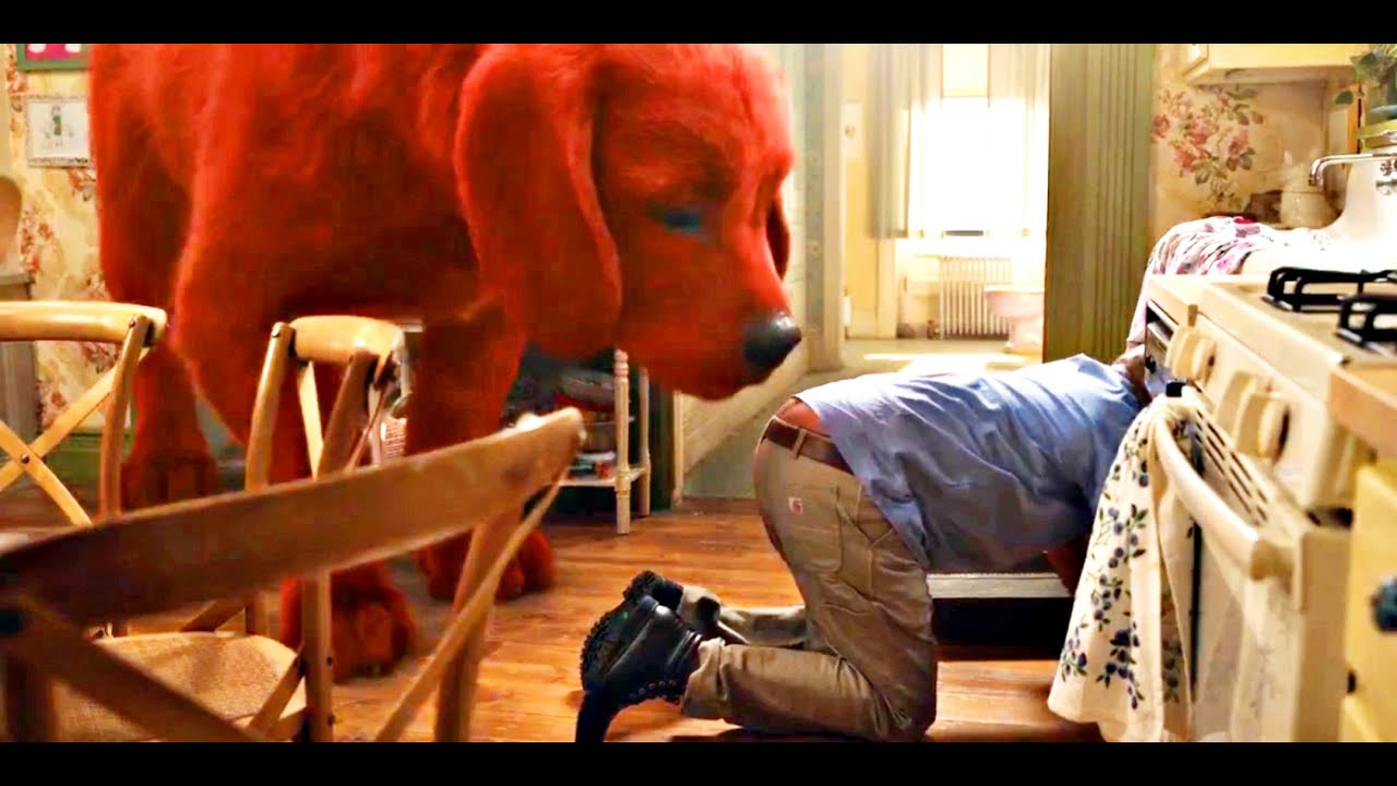 Red Big DOG 🐕 ITNA BADA HO GAYA KI GHAR MAIN HI NAHI AA SAKTA ...