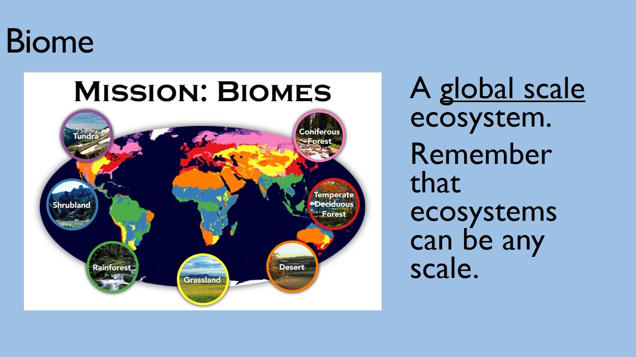 Living World 4 Distribution of Global Ecosystems Video Version - YouTube