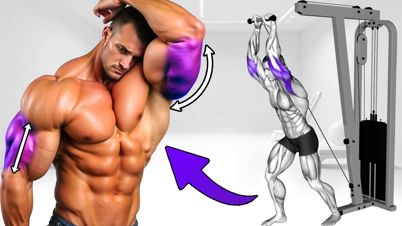 Top 10 Triceps Workout at Gym (Long Head, Lateral Head, Medial Head ...