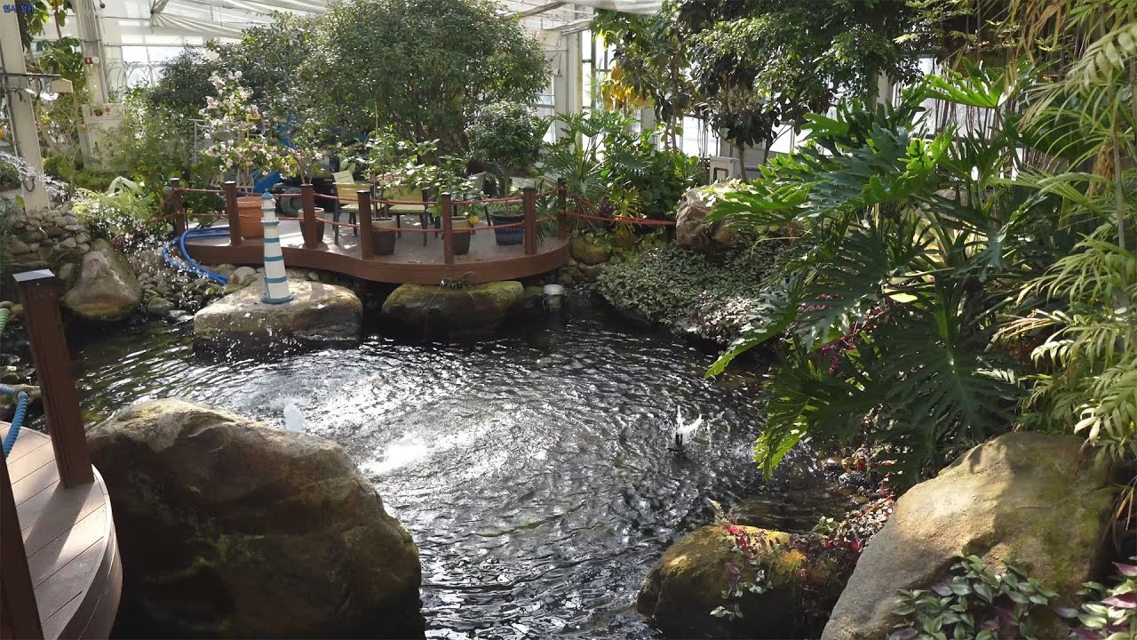 The botanical garden tour continues - YouTube