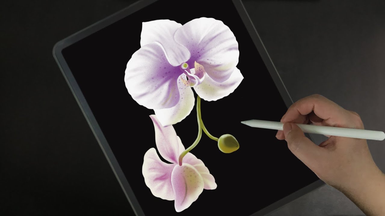 Full Bloom Orchid Flower iPad Procreate Drawing - Digital Illustration ...