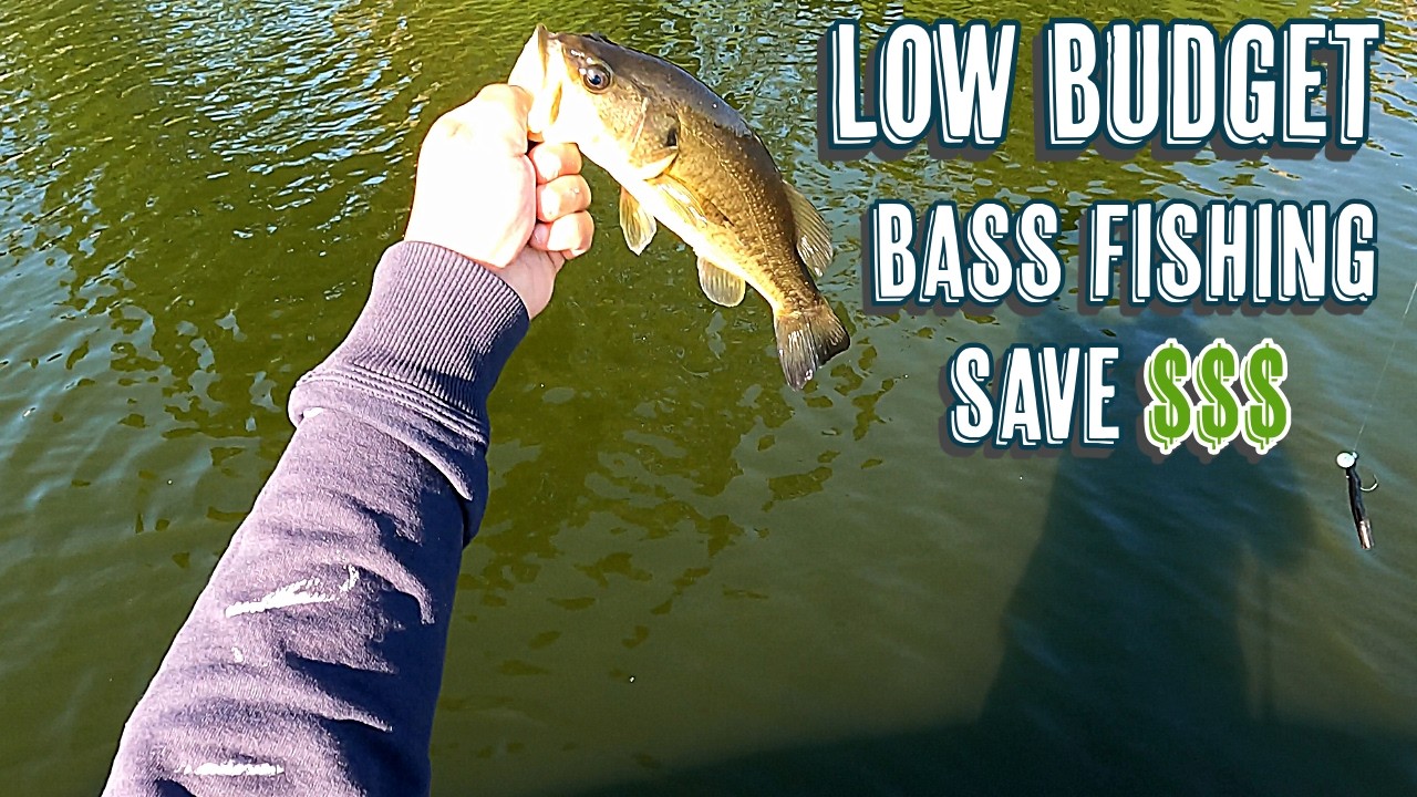 How to Catch LOTS of Fish and Save LOADS of Money $$ - YouTube