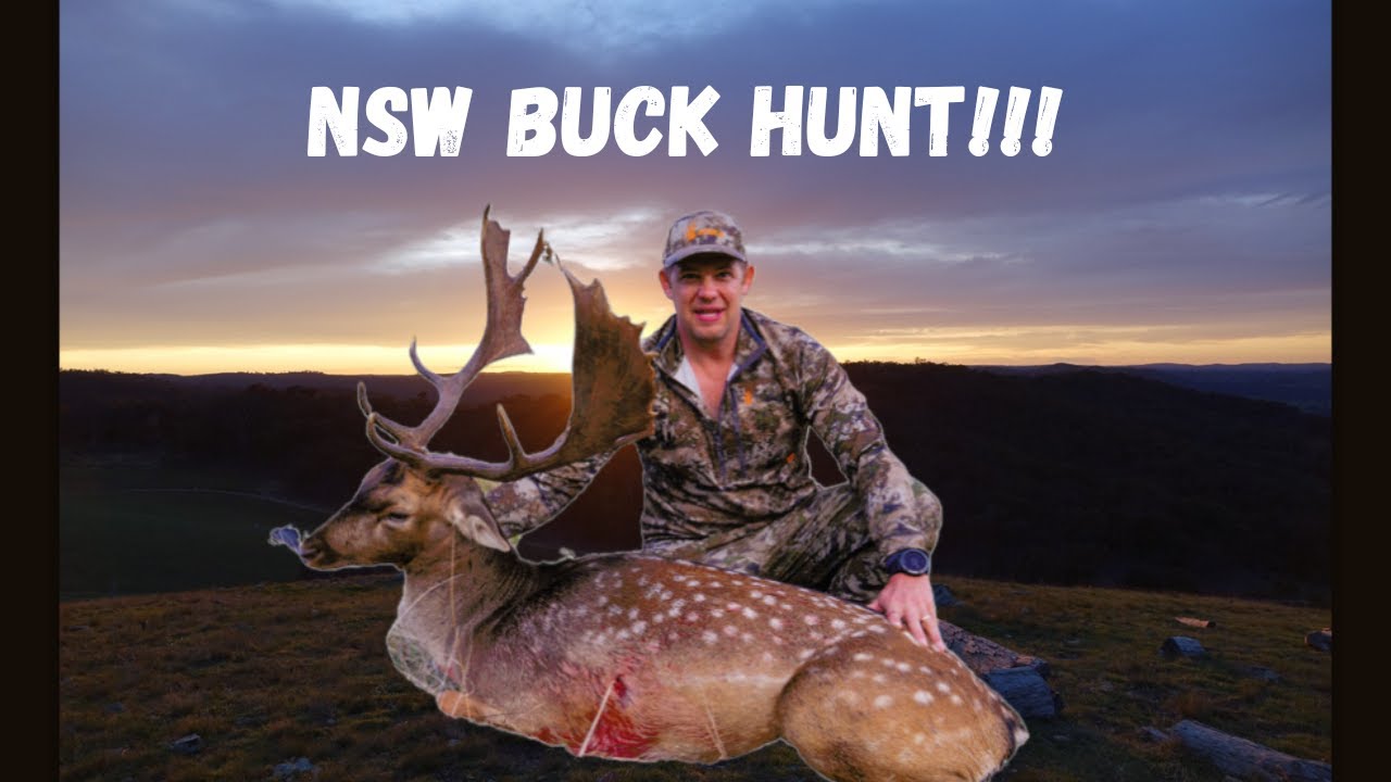 2023 RUT SERIES EP2!!! (GIANT FALLOW BUCK!!!) - YouTube