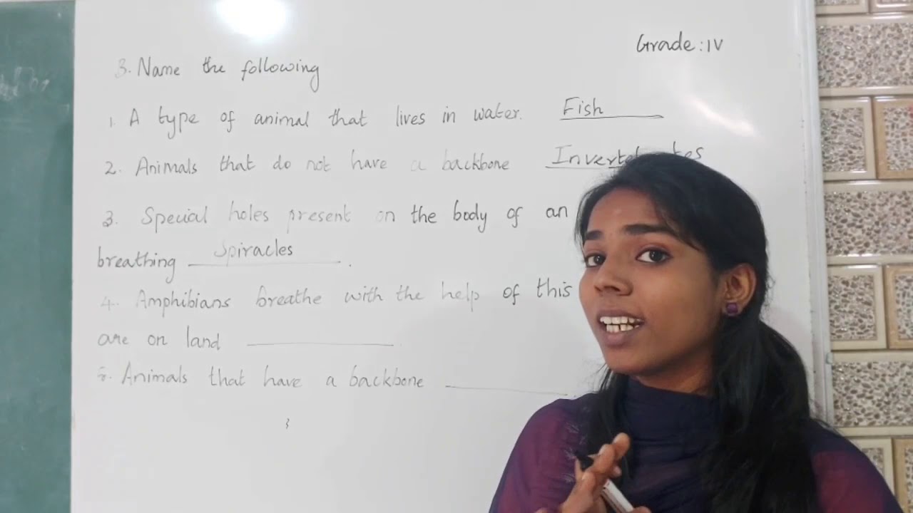 Grade 4 Science / Revision - YouTube