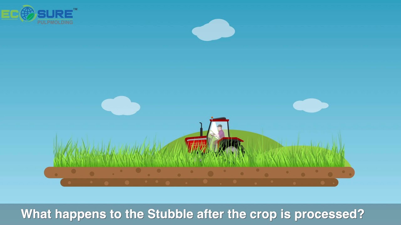 3d Animation Video || SUGARCANE BAGASSE FIBER PULP MOLDED PRODUCTS # ...