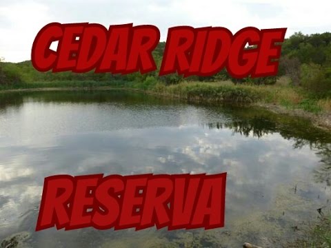 cedar ridge preserve dallas Texas. - YouTube