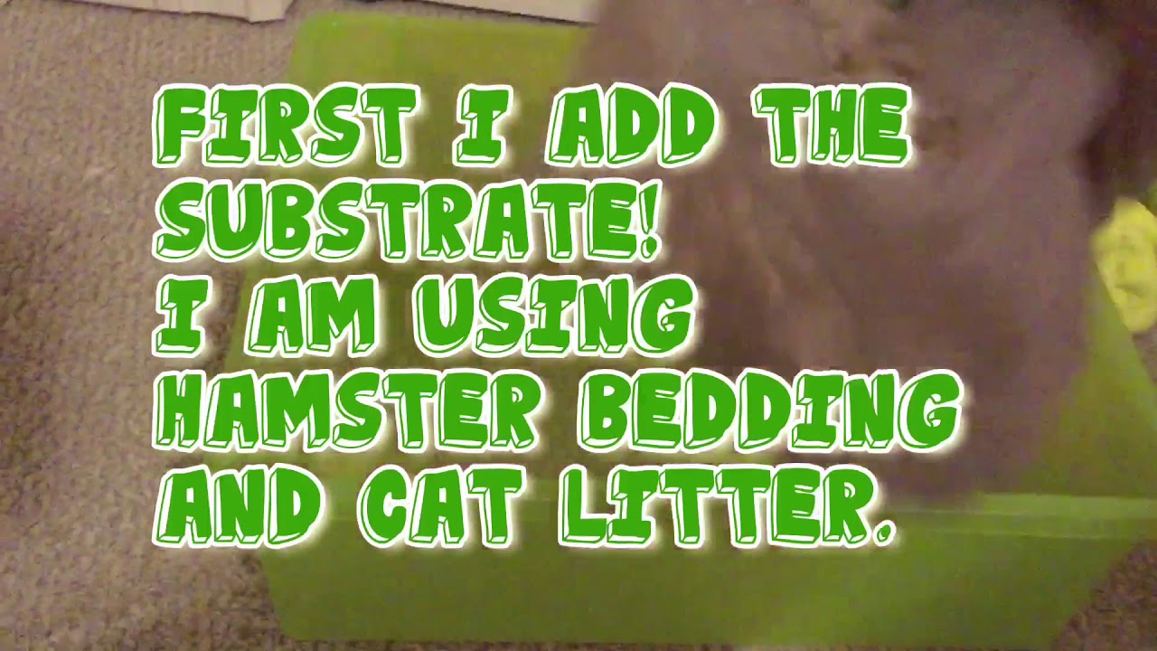 Worm cage setup - YouTube