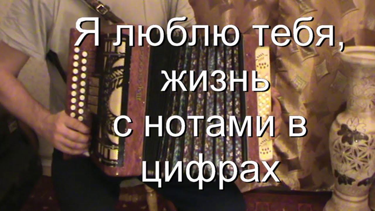 Я люблю тебя жизнь разбор с цифрами - YouTube