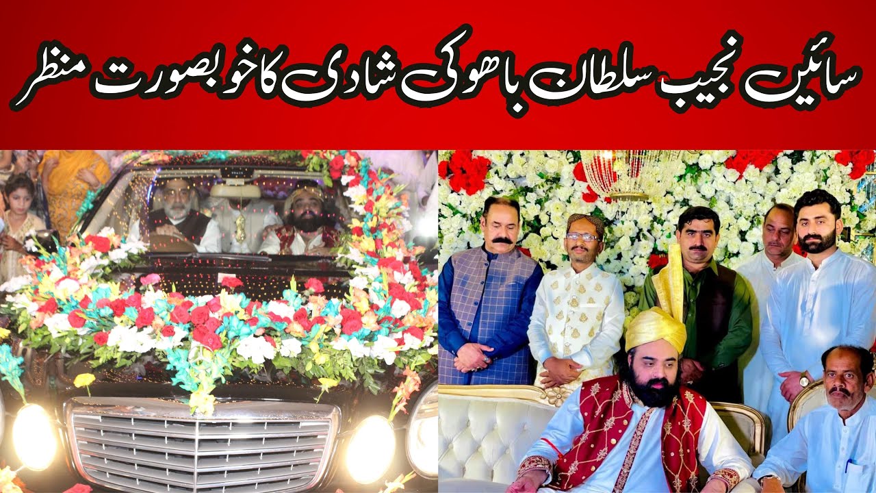Najeeb sultan bahoo ki shadi | Najeeb sultan marriage video | wedding ...