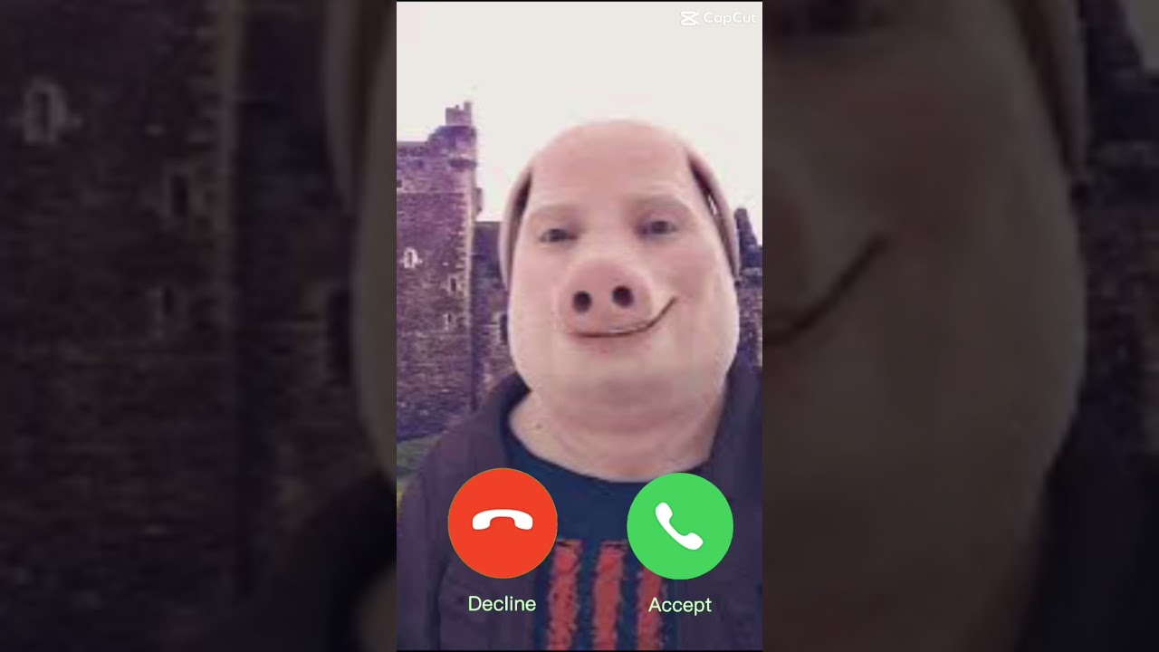 John Park is calling Realtime YouTube Live View Counter 🔥 — Livecounts.io