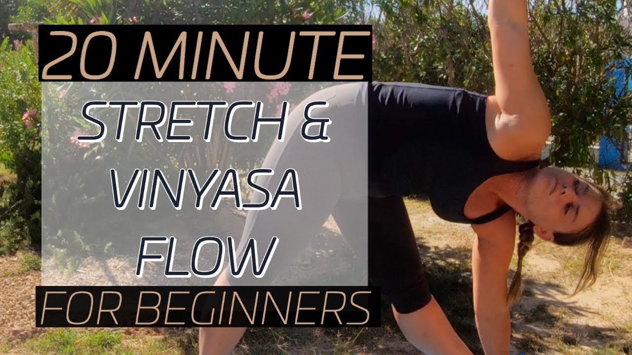 20 Minute Stretch & Vinyasa Yoga Flow for Beginners - YouTube