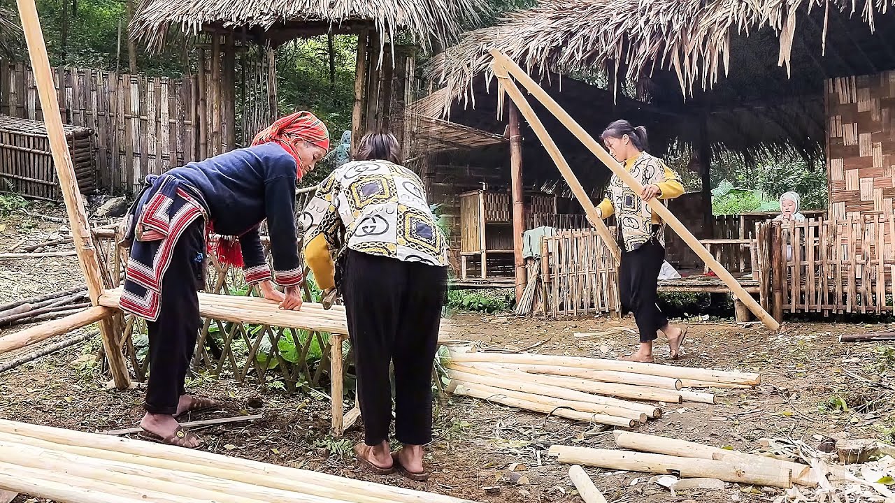 A Young Mother and Her 80-Year-Old Grandma Build a Small Hut and a ...