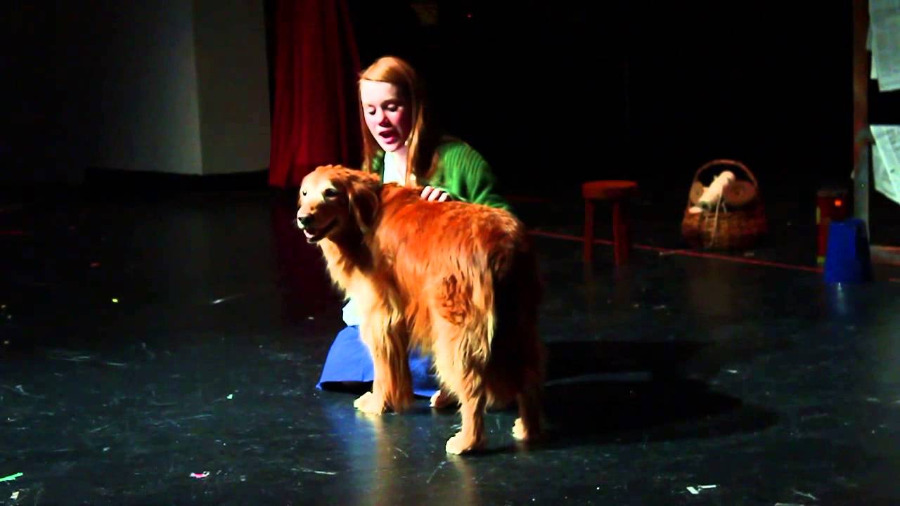 "Annie" @ McLean HS Trailer - YouTube