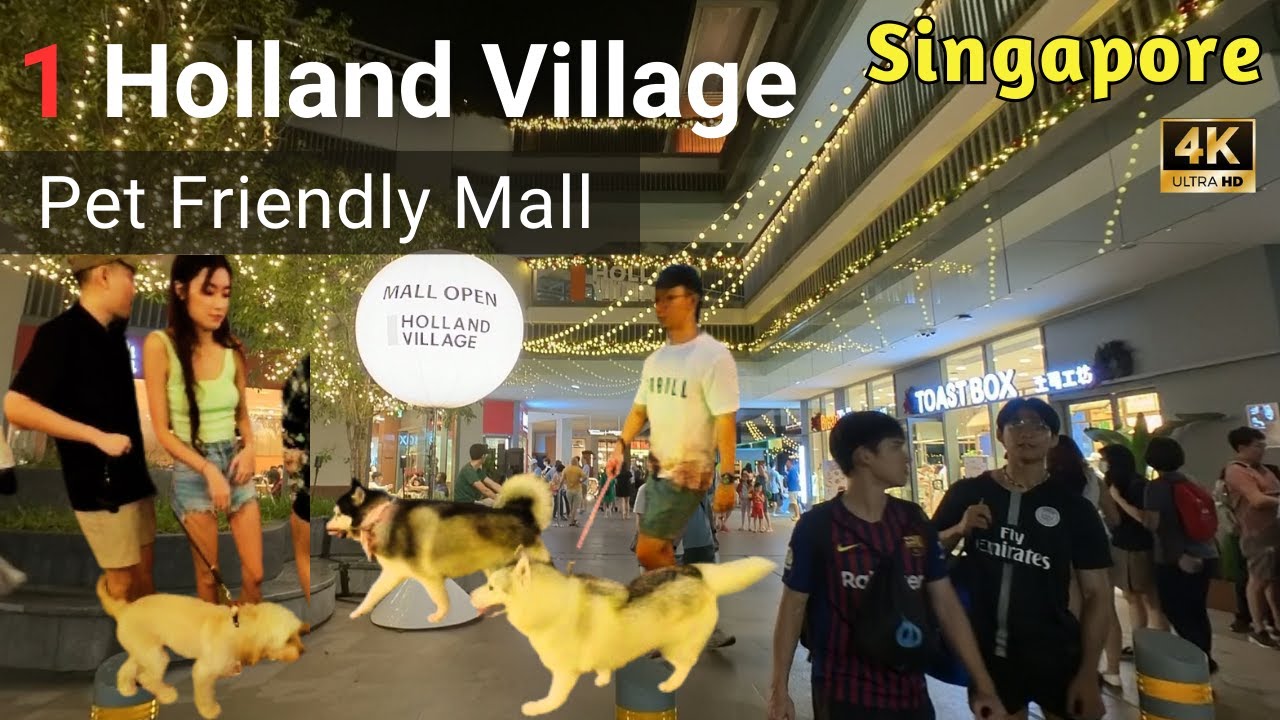 (New) The Best Pet Friendly Mall in Singapore | One Holland Village ...
