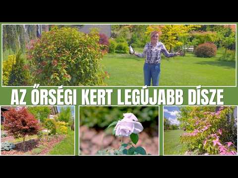 Az őrségi kert legújabb dísze - Borbás Marcsi: Kertem