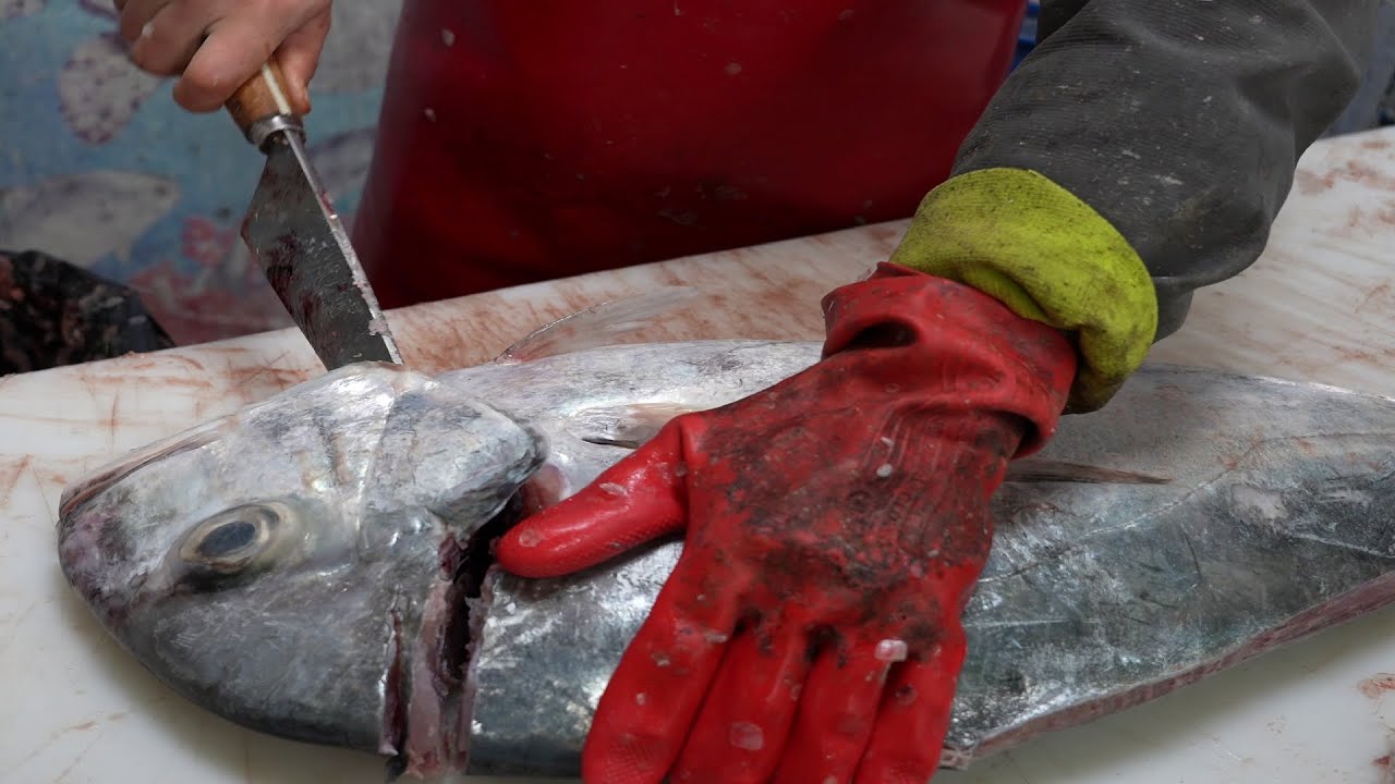FISH CUTTING | Fillet a African Pompano Like a PRO (STEP BY STEP) - YouTube
