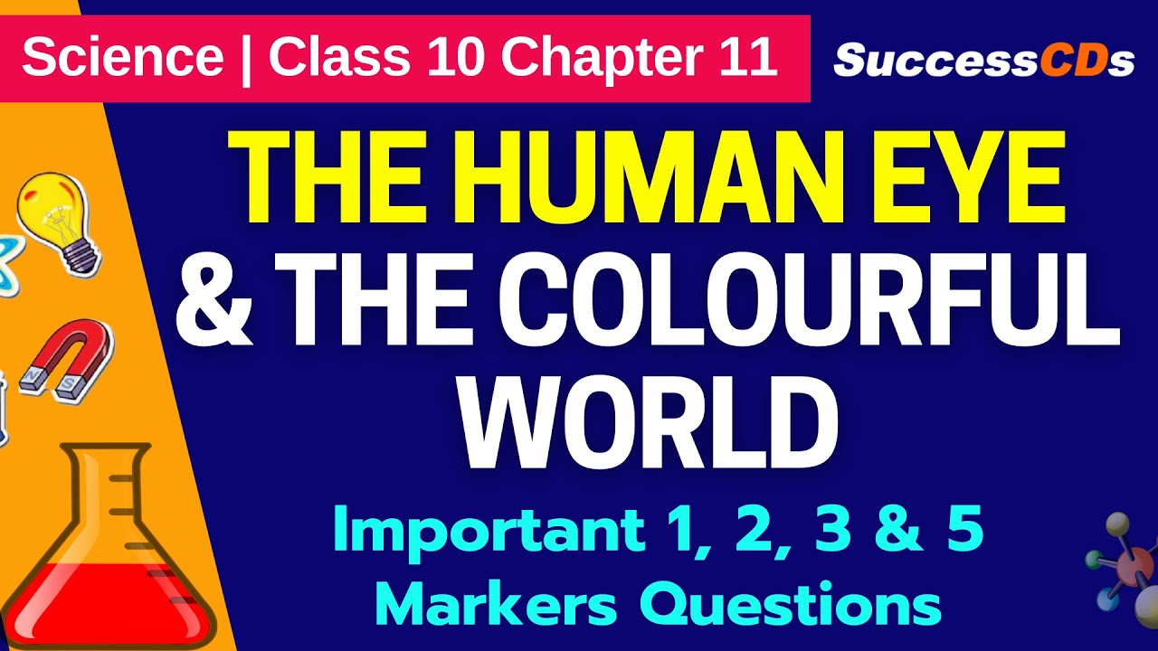 Human Eye and the Colourful World Important Questions 1,2,3 & 5 Marks ...