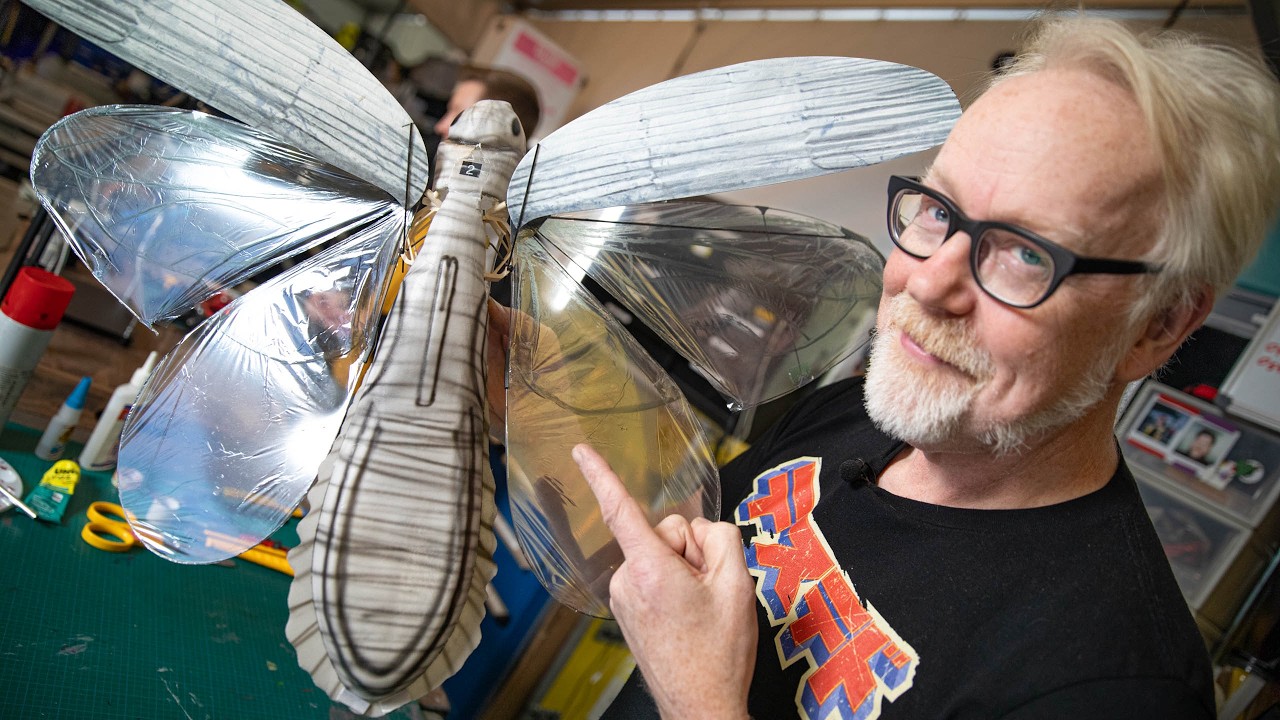 Robot Fireflies: How Ornithopter Drones Fly! - YouTube