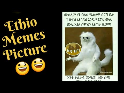 New Ethiopian Memes | #1 - YouTube