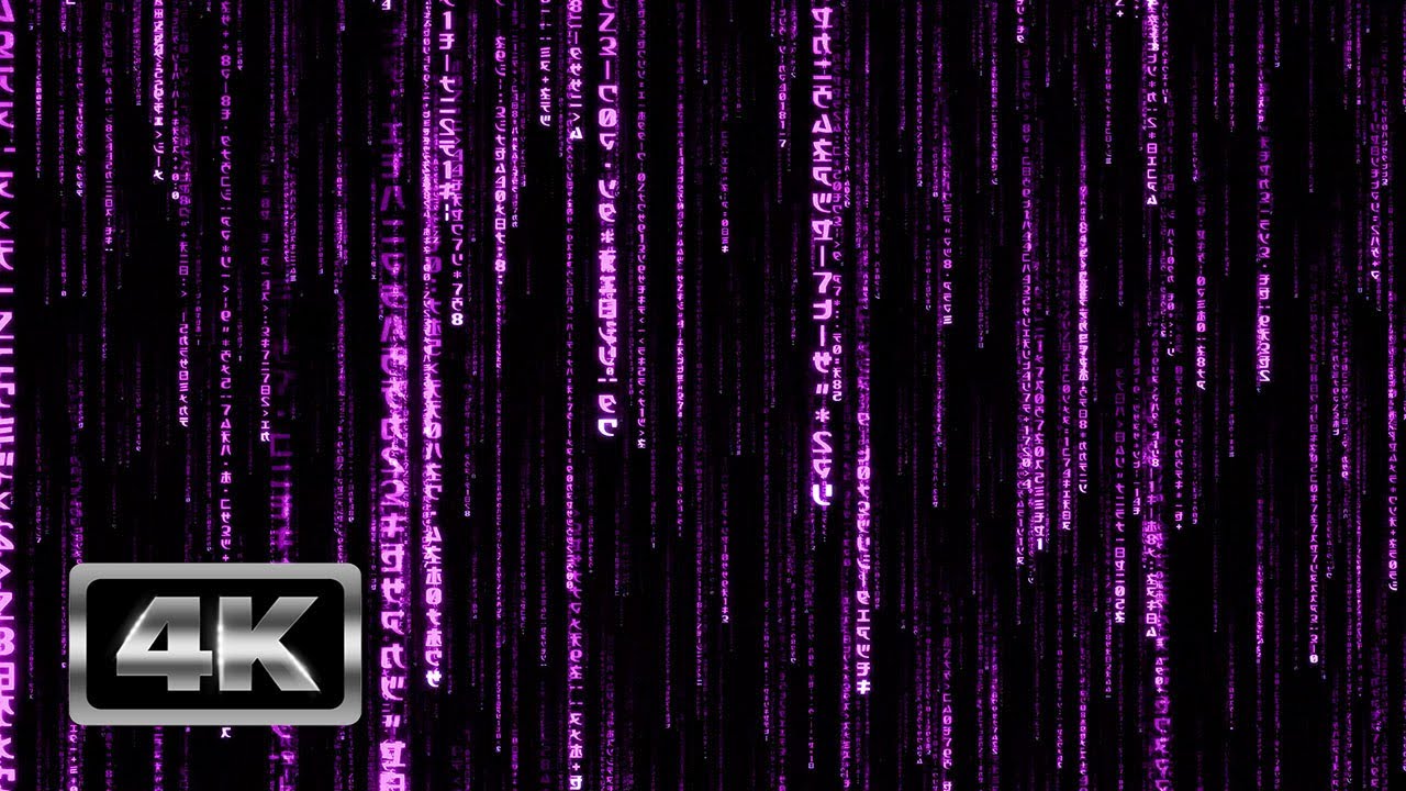 Purple Matrix Code Rain 3d 1 Hour Matrix Theme Tv Screensaver And 4k Live Wallpaper Youtube