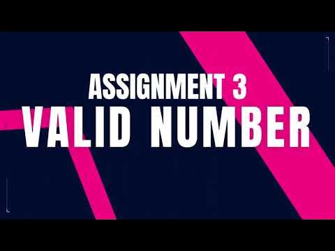 Valid Number | Assignment 3 || Python Coding || Nxtwave ccbp 4.0 telugu || Python Tips TRicks ...