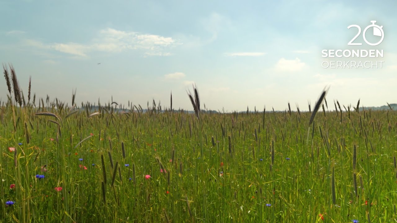 20 seconden Oerkracht - deel 6 - YouTube