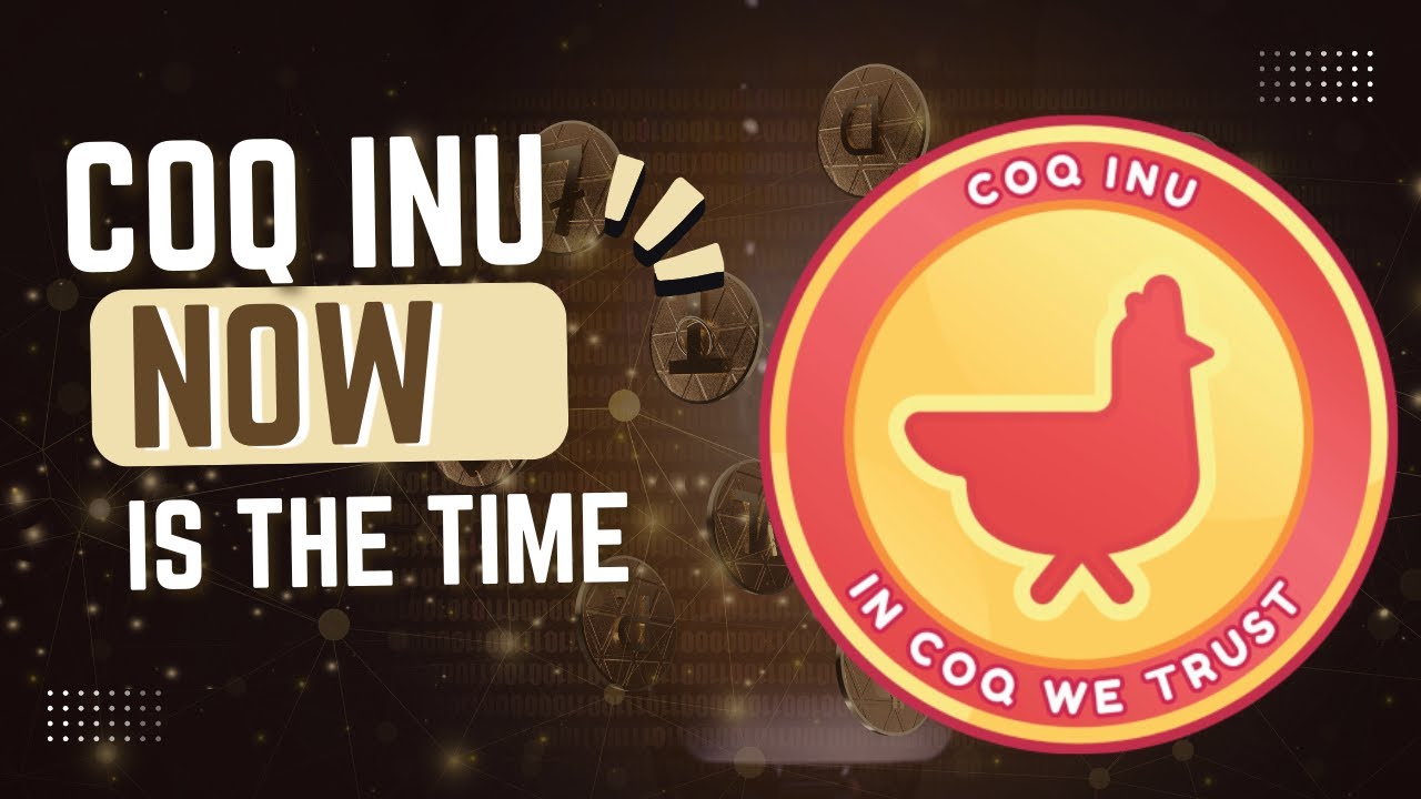 COQ INU IS DOING BIG GIVEAWAY COQ SET TO GO UP - YouTube