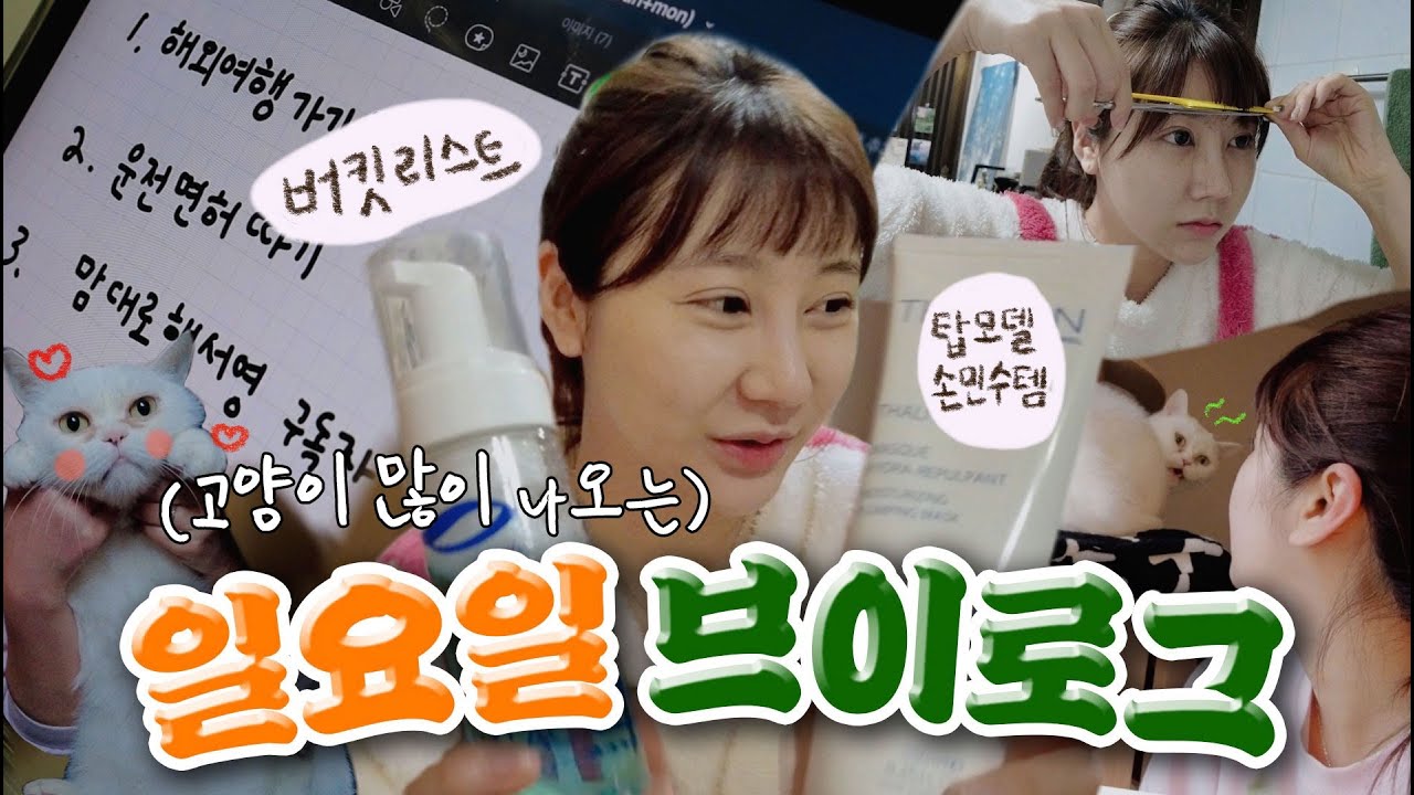 Sub 자취일상 Vlog 월요일에 대비하는 자세 2023 유튜브 목표 정하기 비건 팩클렌저 탑모델 손민수 성공썰