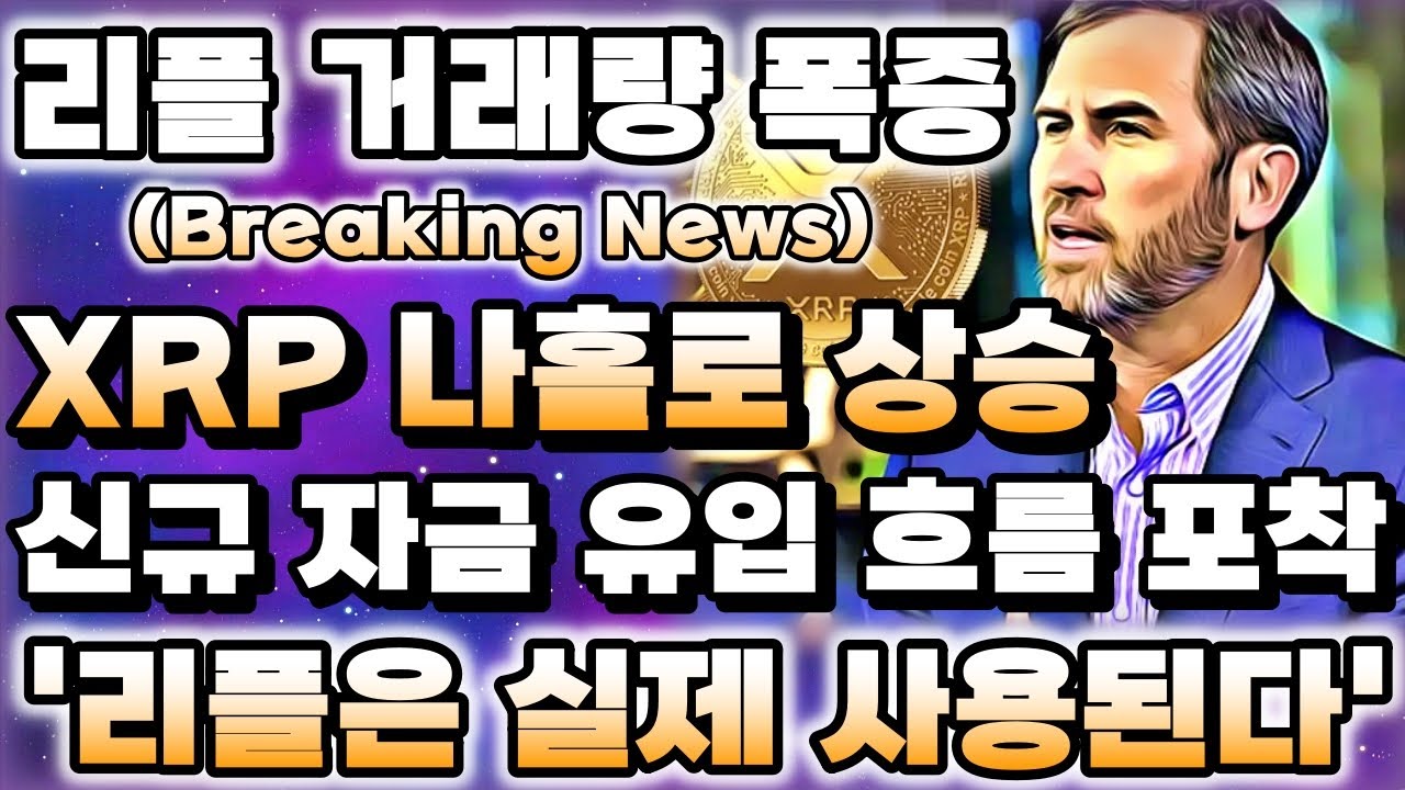 리플 거래량 폭증 Xrp 나홀로 상승 및 신규 자금 유입 흐름 포착 리플은 실제 사용된다 Youtube