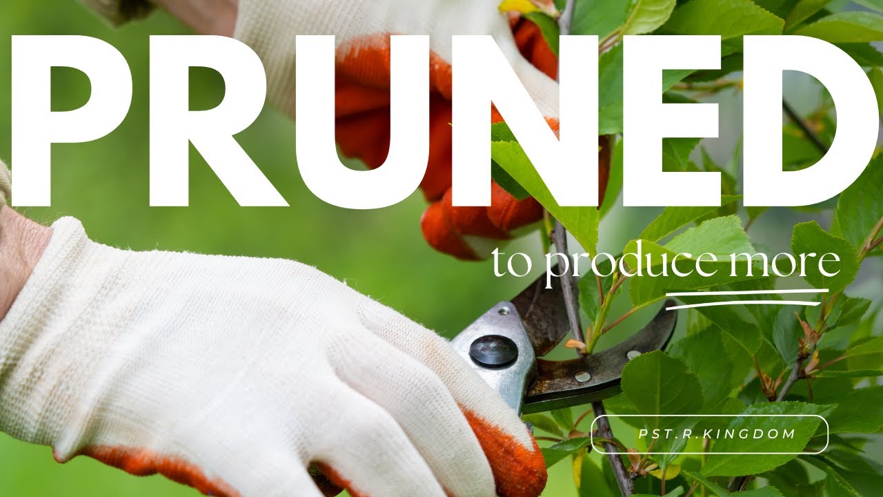How God Prunes us to Produce More - YouTube