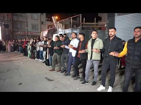 02 Berwari Aşireti Mersin Başak Ailesi Mizgin & Zeynel Kına