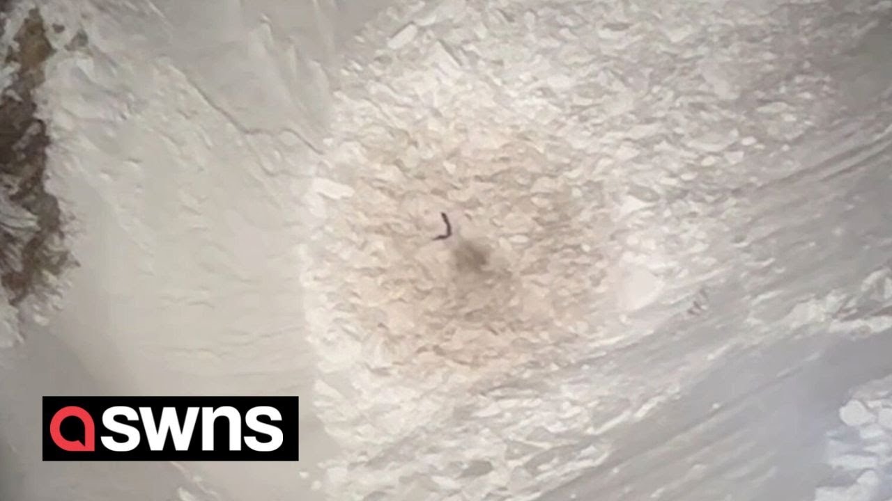 Incredible moment missing hiker buried under snow managed to wave down ...