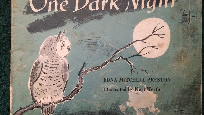 One Dark Night Childrens Book