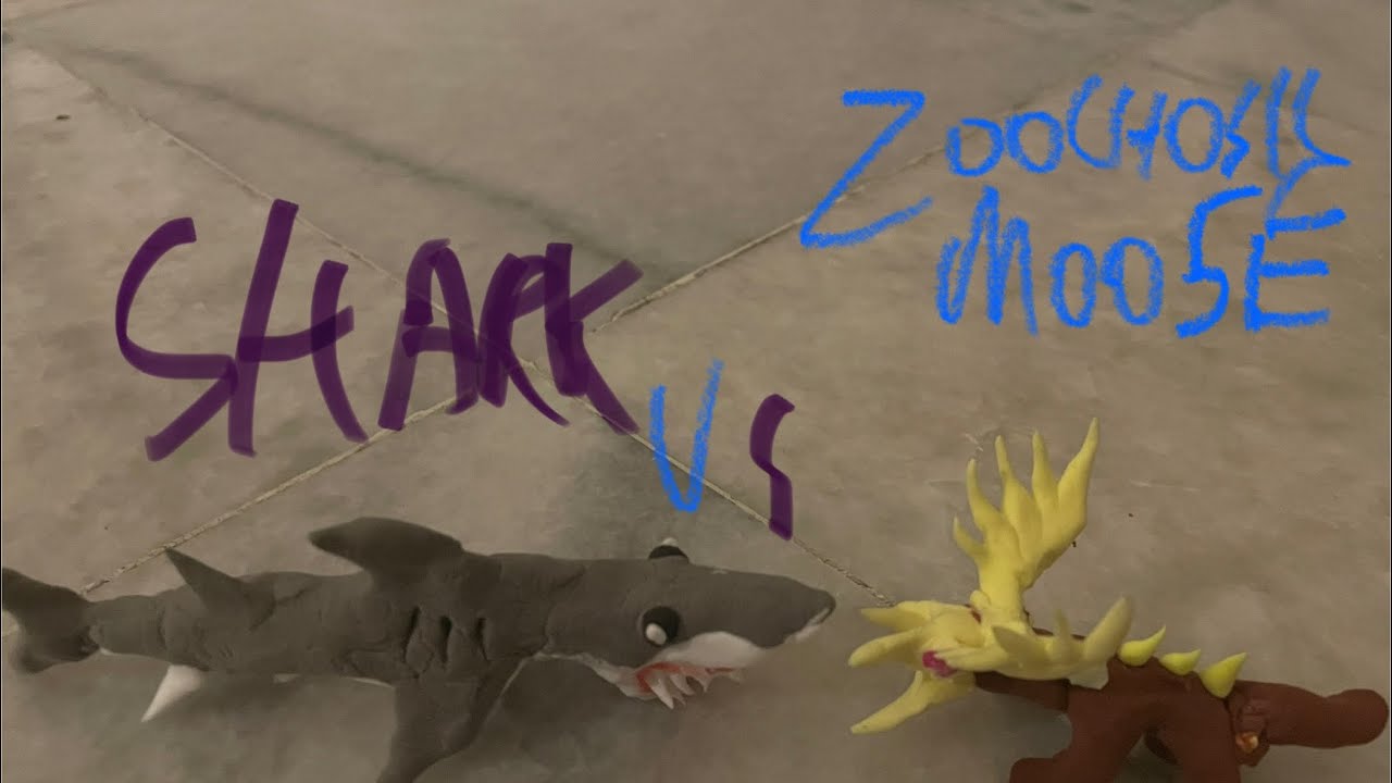 Shark vs Zoochosis Moose 🫎 - YouTube