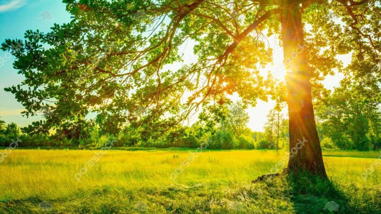 The unique nature of Iran Fars Shiraz province - YouTube