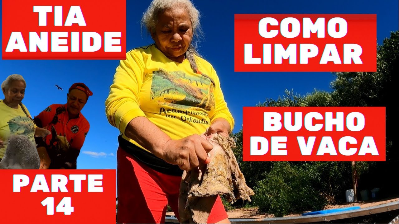 COMO LIMPAR BUCHO DE VACA - DESPEDIDA DA TURMA - ACAMPAMENTO DA ...
