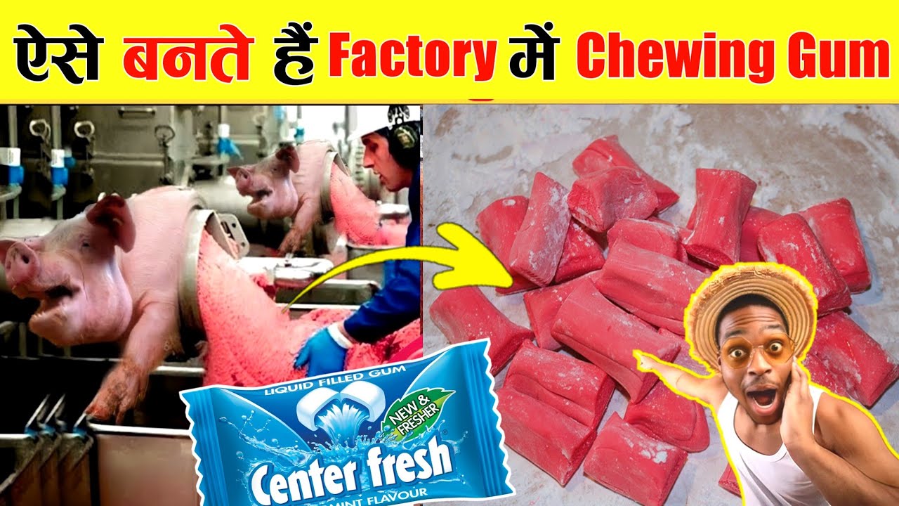 देखो ऐसे बनती है Factory में Chewing Gum | How Bubble Gum Is Made In ...