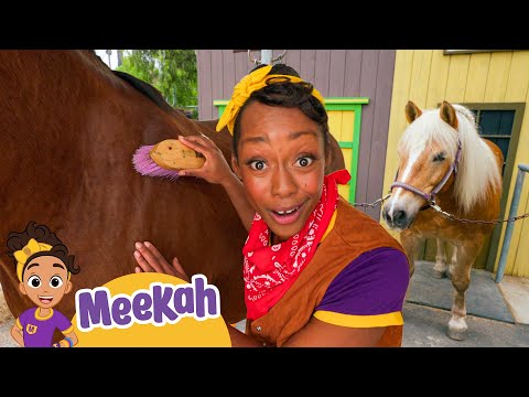 Cowgirl Meekah's Horse Tour! | Meekah's Favorite Animals | Blippi and Meekah Kids TV