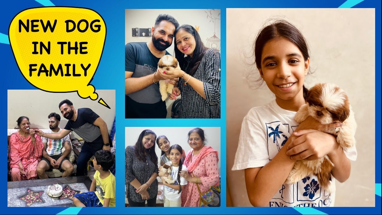 New Puppy 🐶 in The Family & Birthday Cake for Dadi 🎂 - YouTube