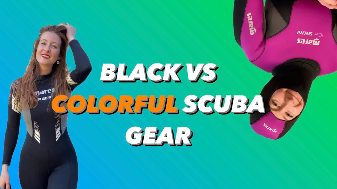 What is the best color for dive gear? 🎨 - YouTube