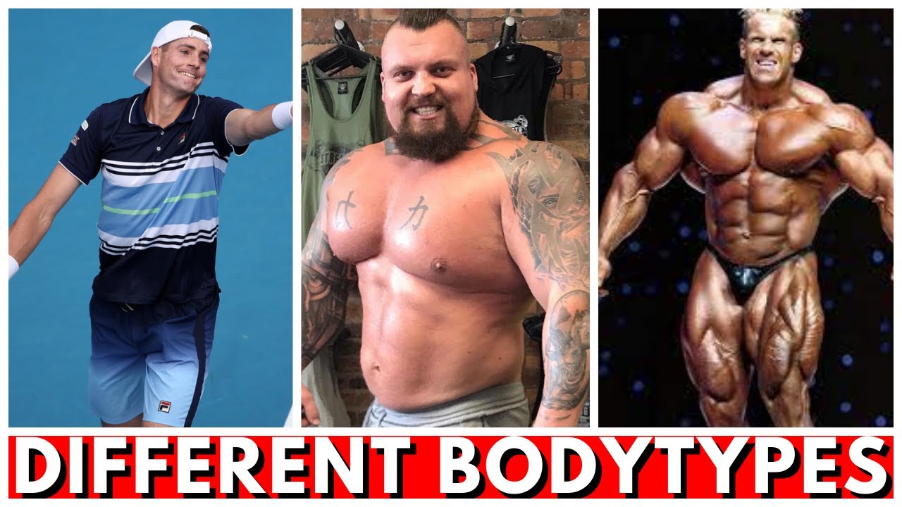 What Are The Three Body Types? | Does Body Type Effect The Ability To ...