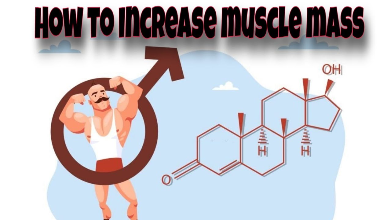 How to Increase Muscle Mass 💪🏻 - YouTube